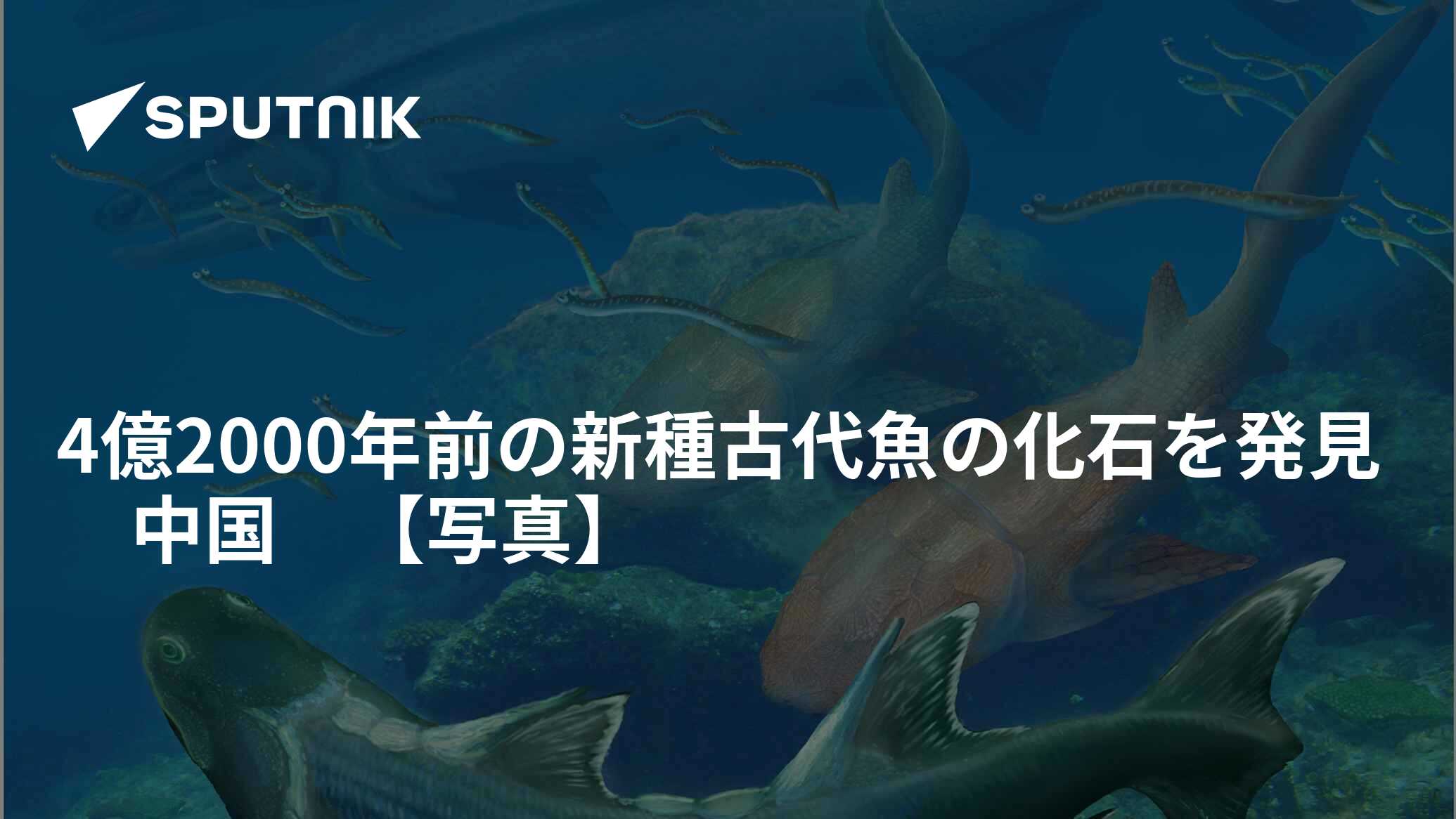 4億2000年前の新種古代魚の化石を発見 中国 【写真】 - 2017年3月13日, Sputnik 日本