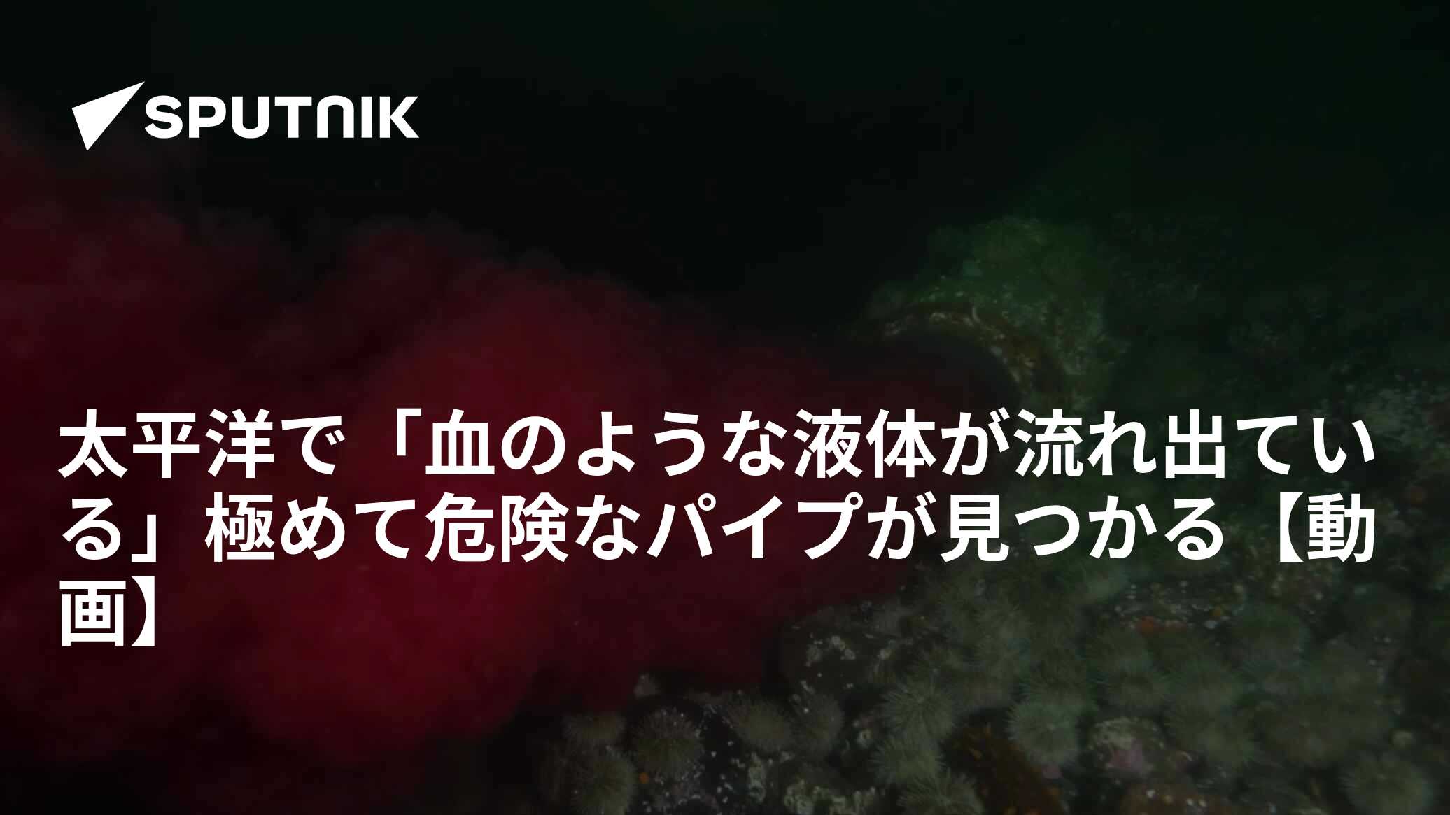 太平洋で「血のような液体が流れ出ている」極めて危険なパイプが見つかる【動画】 - 2017年12月11日, Sputnik 日本